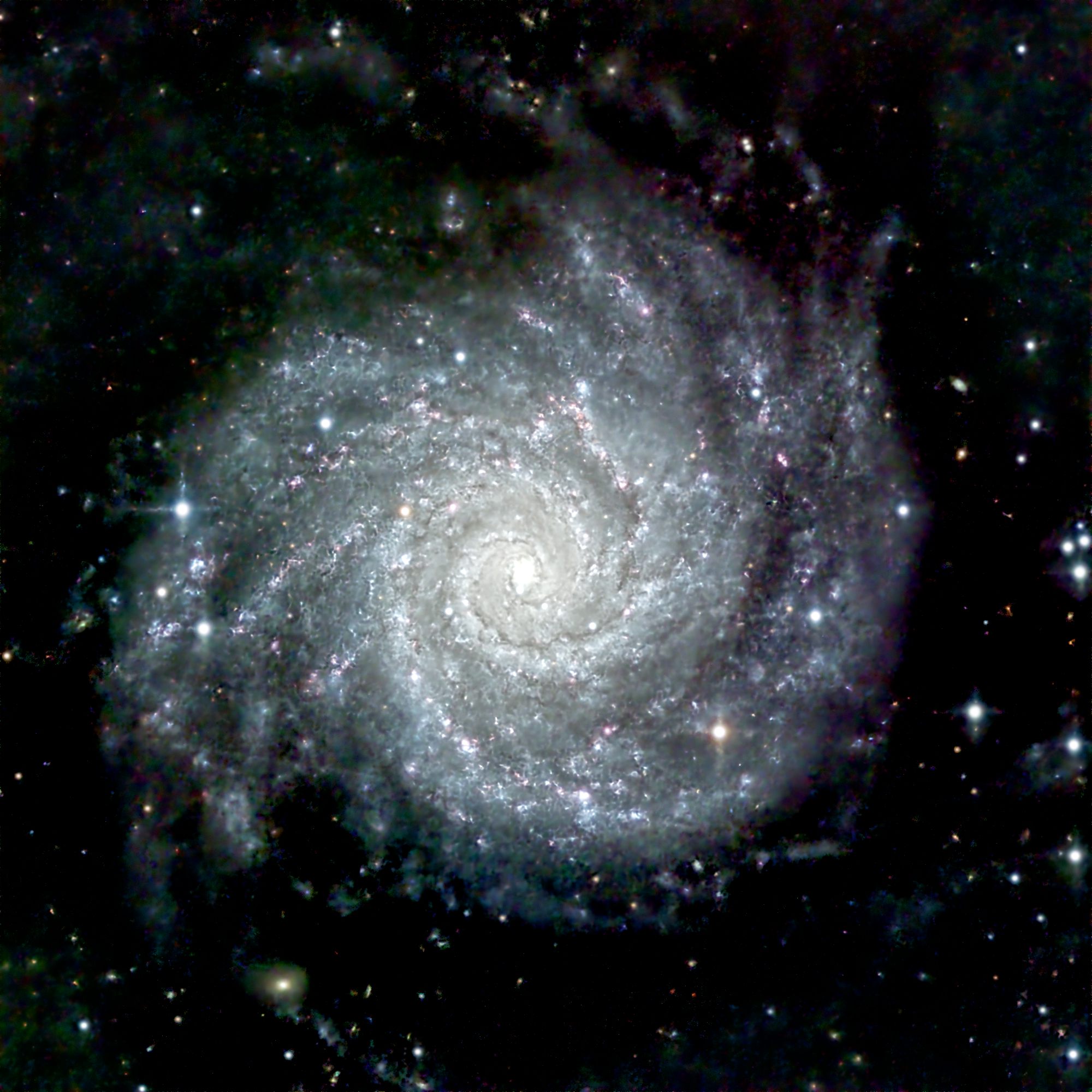 M74 | Telescope Live